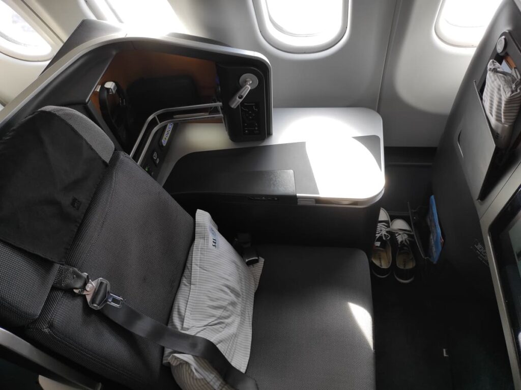 SAS Business Class A330 Mein bester Flug 2024